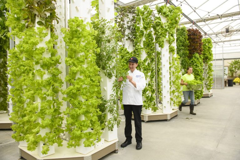 Home - Garden Spot Village - Award Winning Care in Action