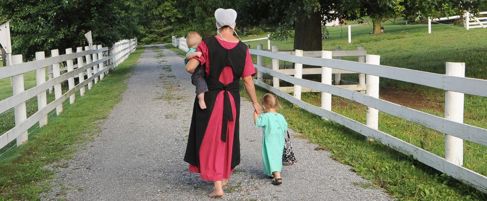 Amish Babies: I Was Way Over My Head- Garden Spot Village